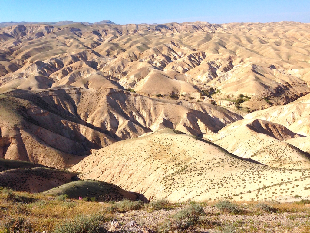 Psalm 23 Revisited: How We Come Into the House of God - Church Bulletin ...