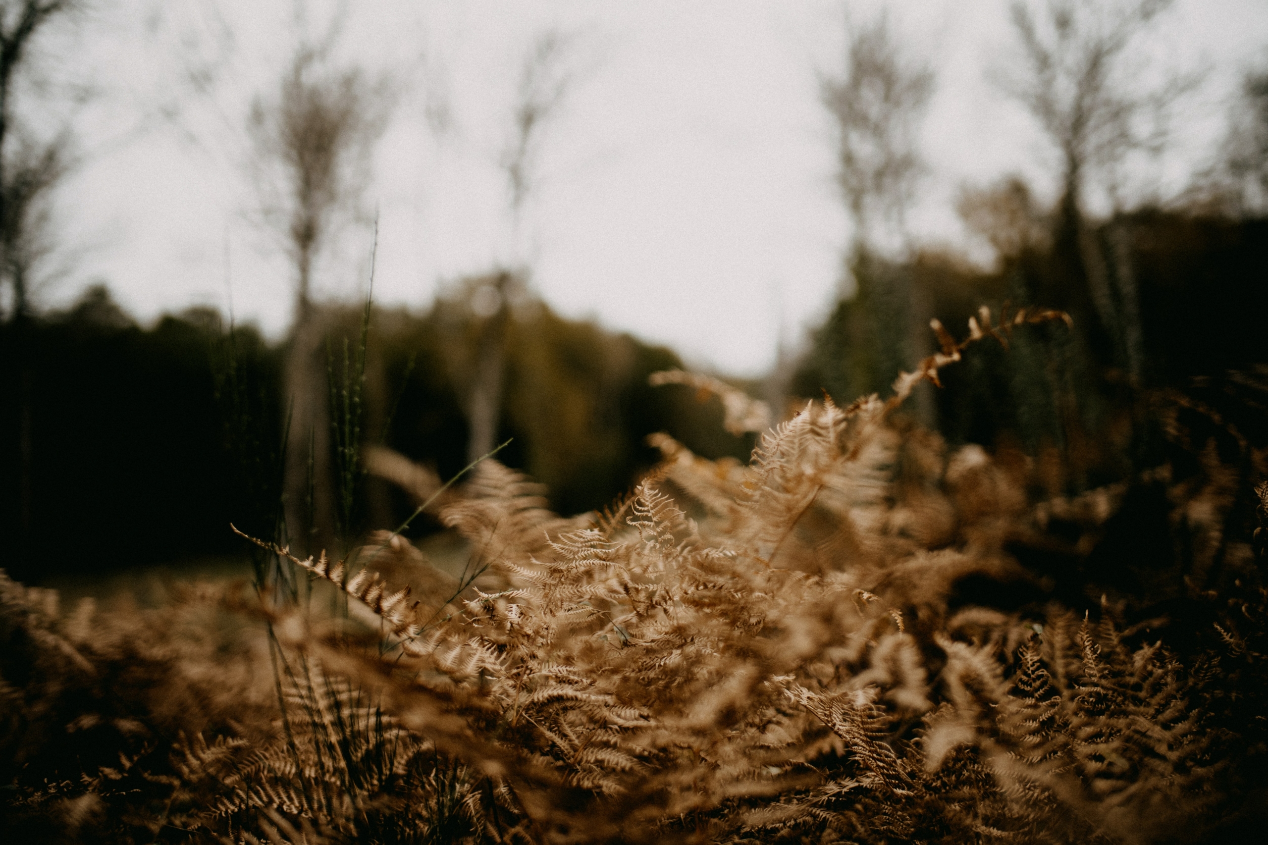 Spiritual Lepers Made Clean - Church Bulletin Inserts