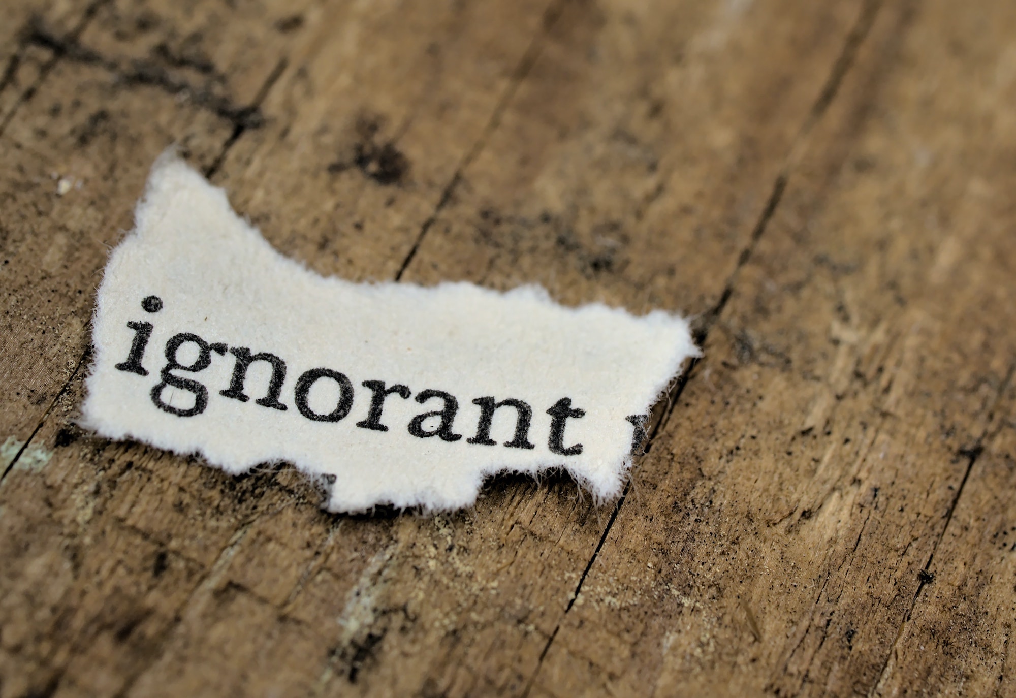 How to Avoid Being a Theological Ignoramus - Church Bulletin Inserts