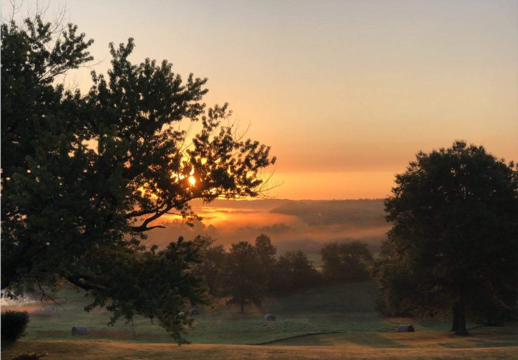 The Discipline of God is Strong - Church Bulletin Inserts