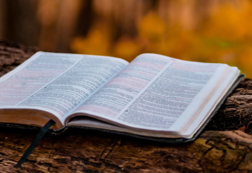 The Standard - Church Bulletin Inserts